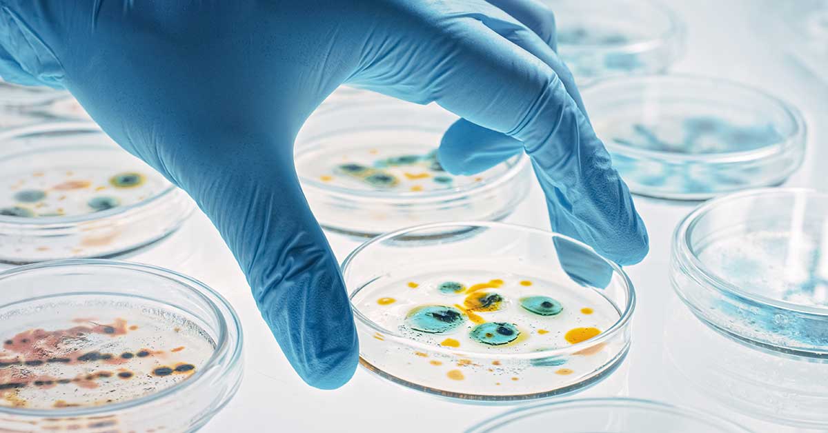 Indiana selected for biotech hub designation worth millions • Northwest ...