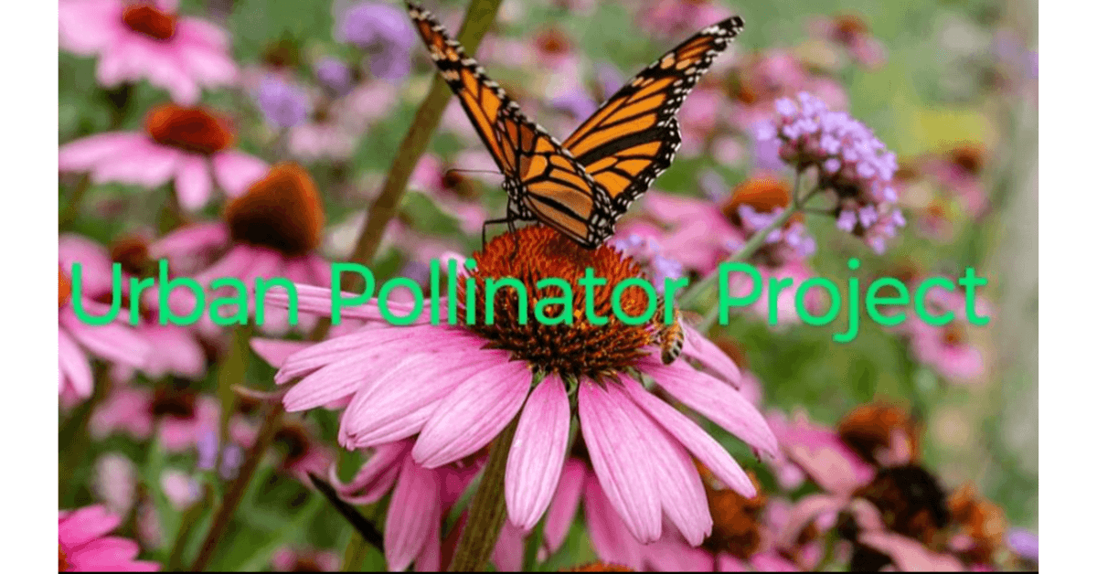 Urban Pollinator Project opens in Chesterton • Northwest Indiana ...